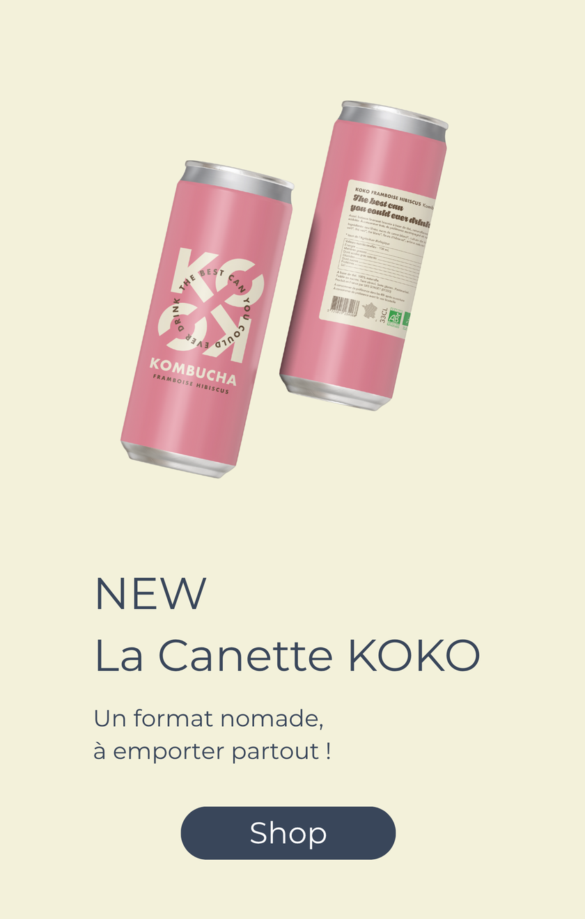 KOKO Kombucha - Boisson saine et savoureuse à base de thé